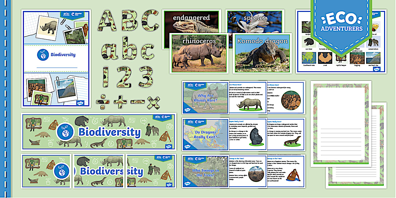 Year 3 Biodiversity: Display Pack (teacher made) - Twinkl