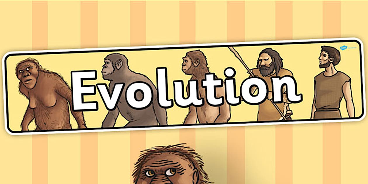 Evolution Display Banner (teacher made) - Twinkl