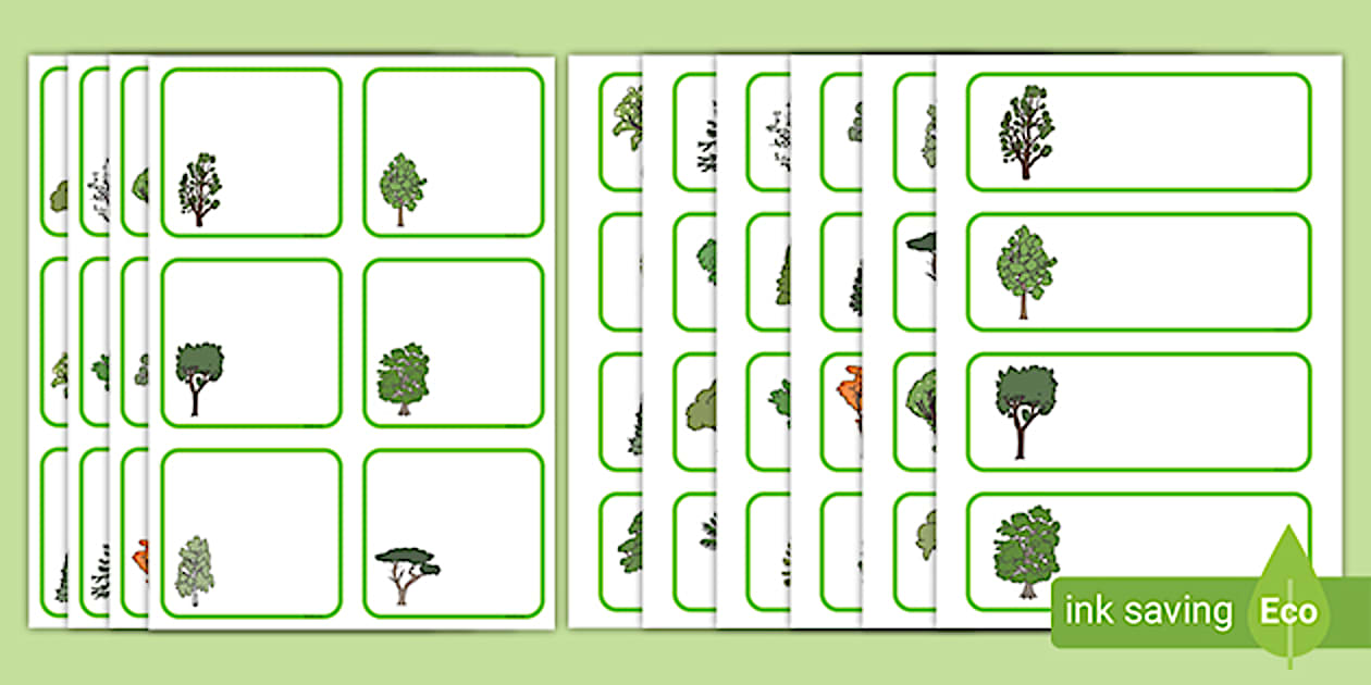 👉 Editable Drawer - Peg - Name Labels (Trees) - Twinkl