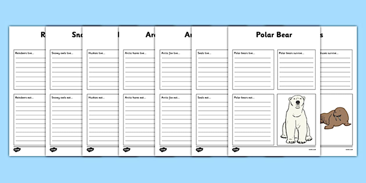 Editable Polar Animals Fact File Worksheets - Twinkl