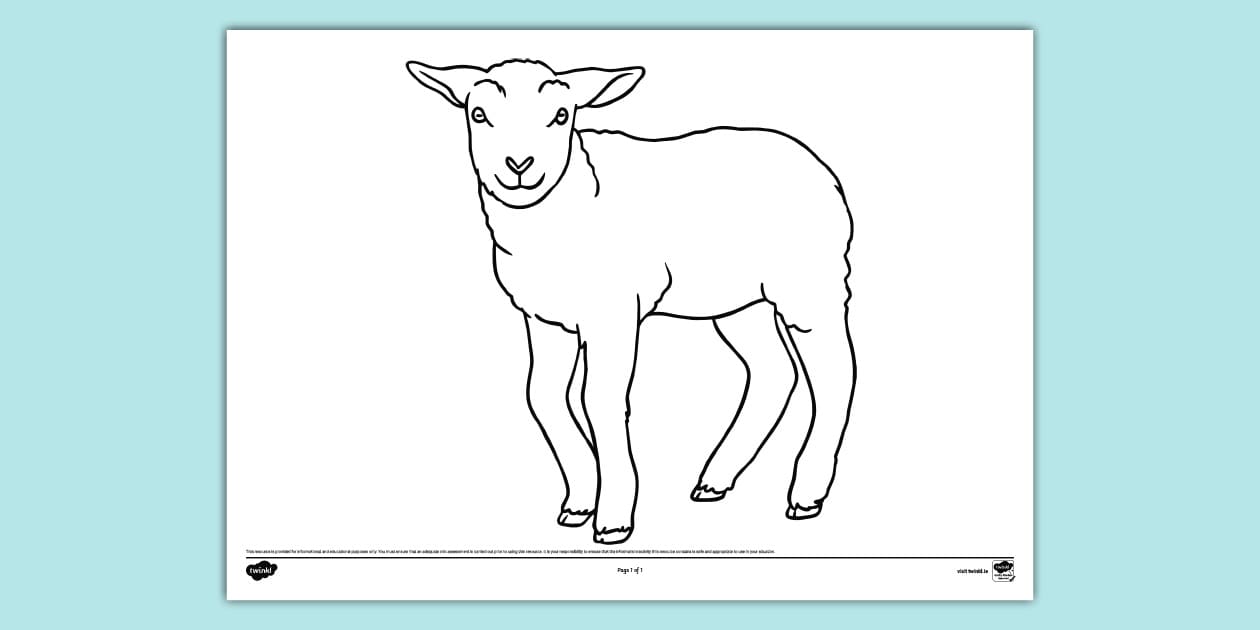 Spring Lamb Template (teacher made) - Twinkl