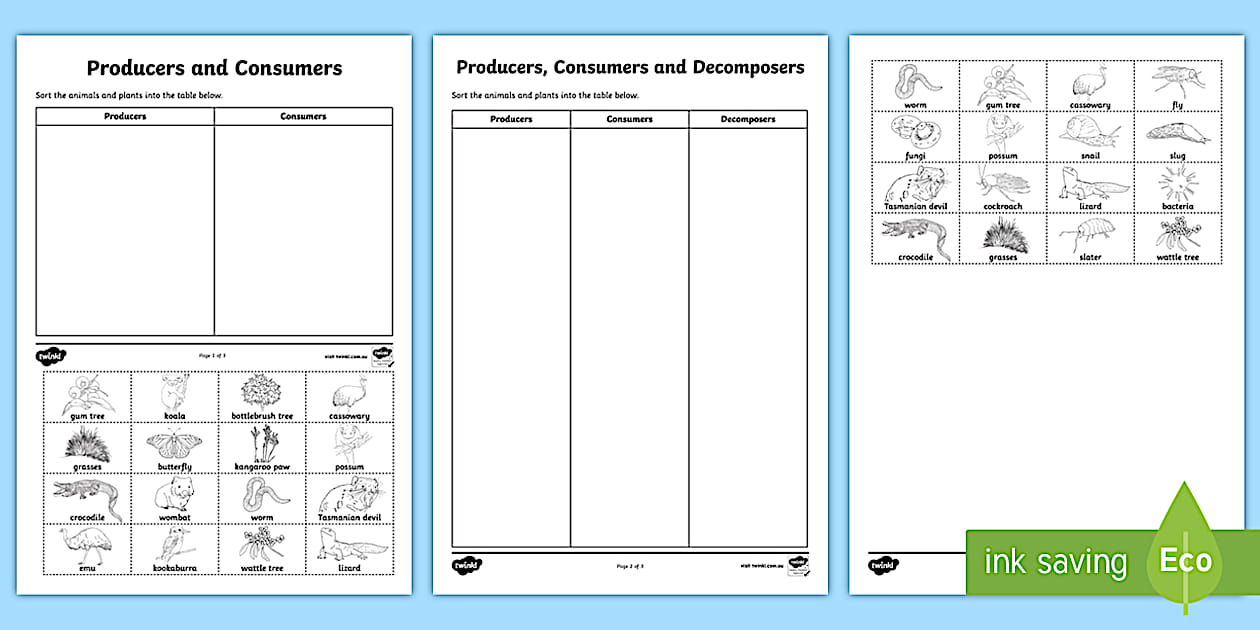 Producers Consumers and Decomposers Worksheet | Twinkl USA