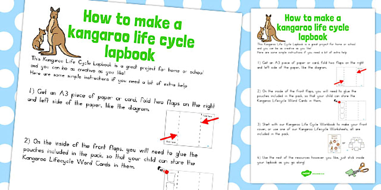 Kangaroo Life Cycle Lapbook Instruction Sheet (Teacher-Made)
