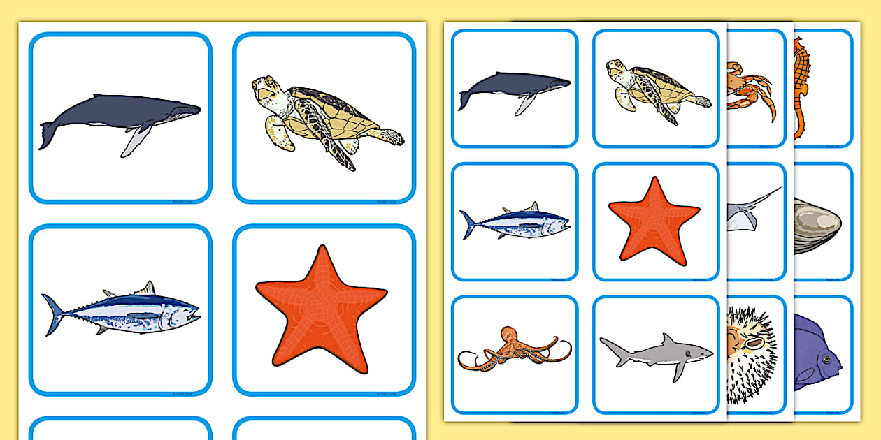 Under the Sea Animal Flashcards - Under the Sea Primary Resources