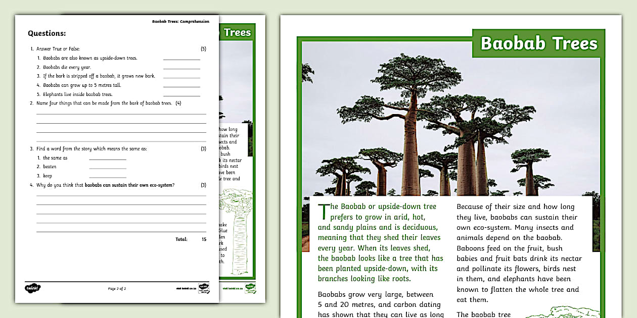 Baobab Trees - Comprehension (teacher made) - Twinkl