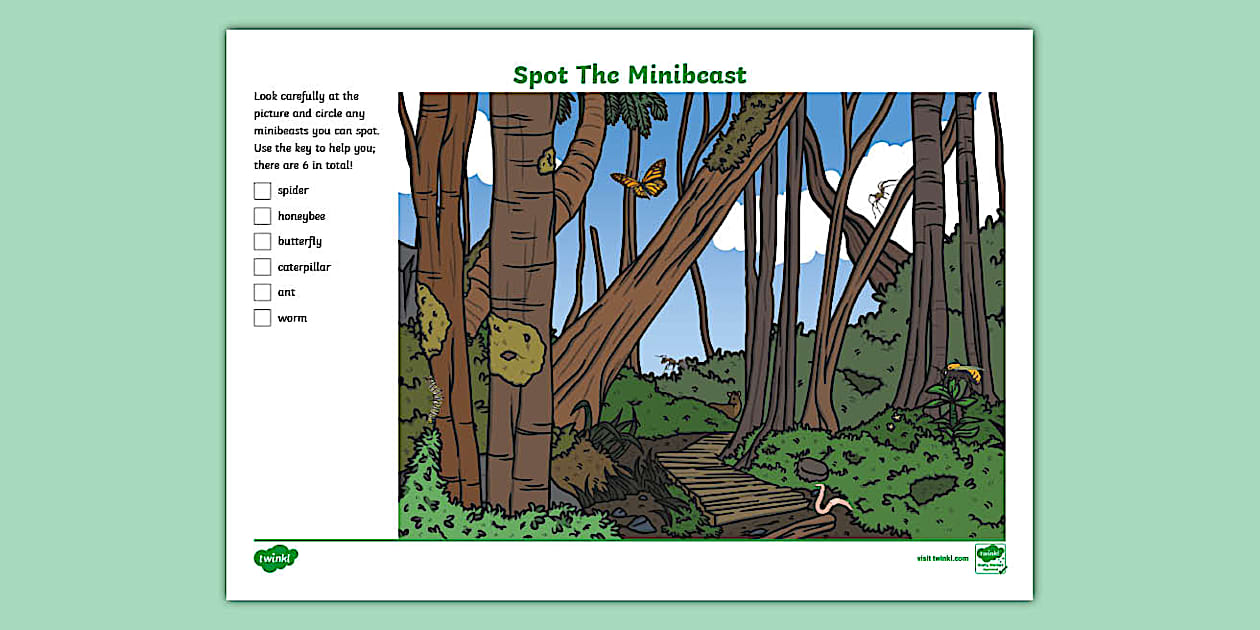 Spot The Minibeast (teacher made) - Twinkl