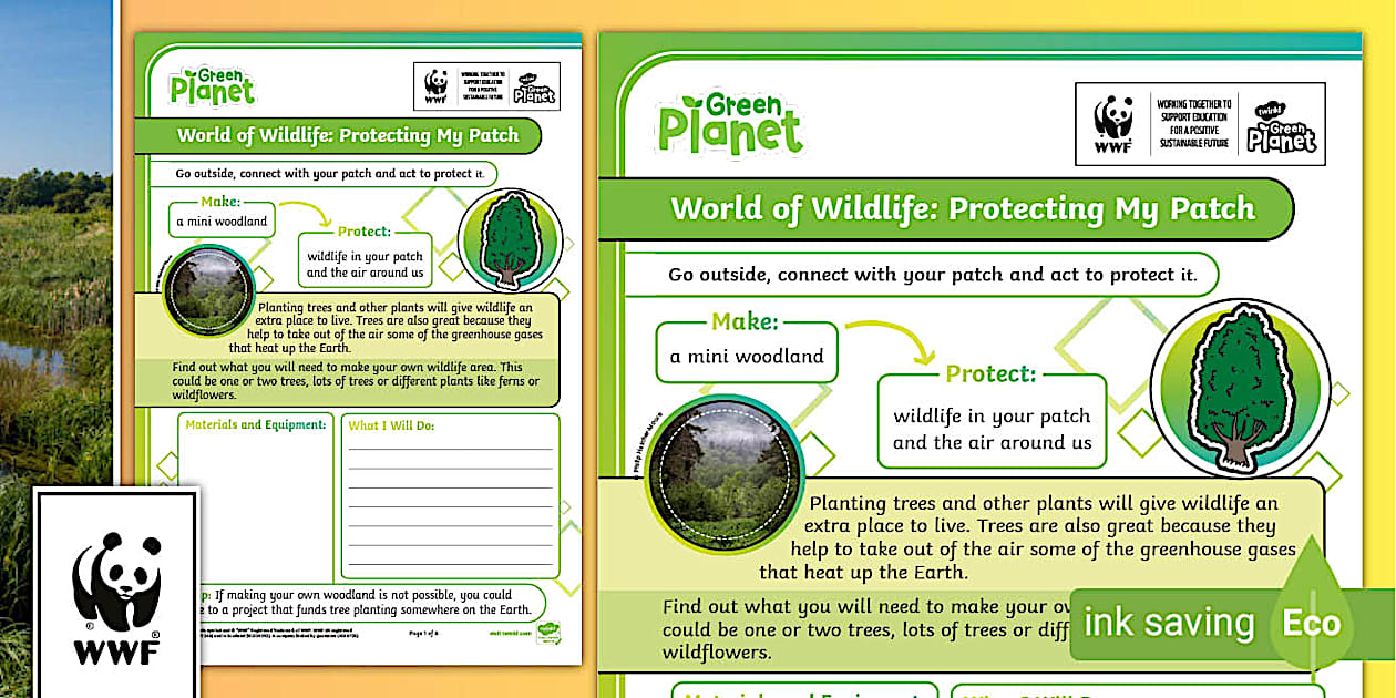 FREE! - What To Do On Earth Day | WWF Activity Sheets | Twinkl