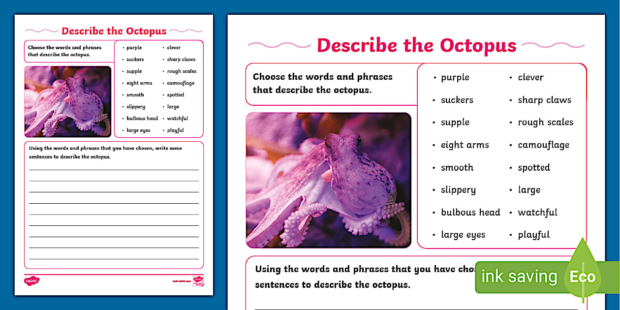 Describe the Octopus Activity (teacher made) - Twinkl