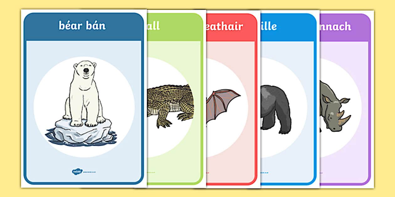 An Zú Gaeilge Display Posters-Irish (teacher made)