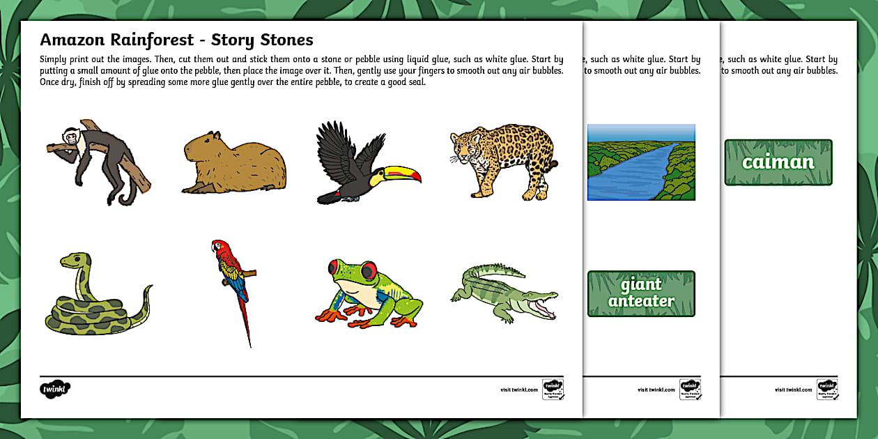 Amazon Rainforest Themed Story Stone Image Cut-Outs | Twinkl