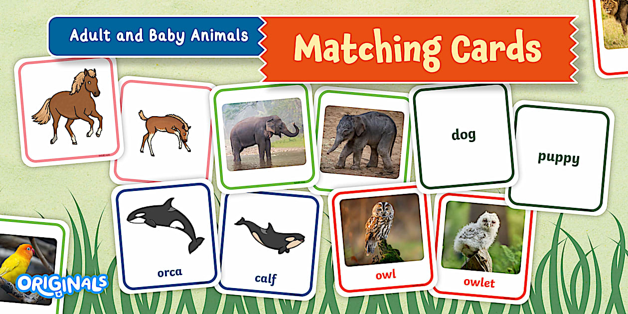 Adult and Baby Animals Matching Cards