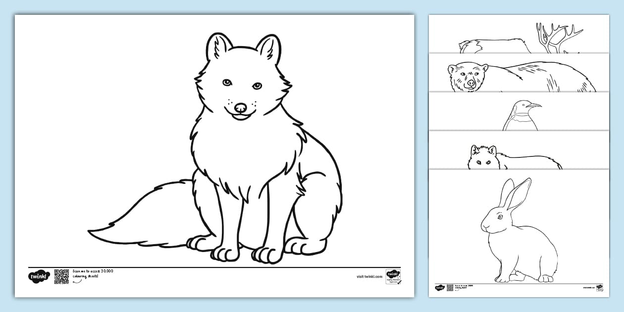 Winter Animals Colouring Sheets (teacher made) - Twinkl