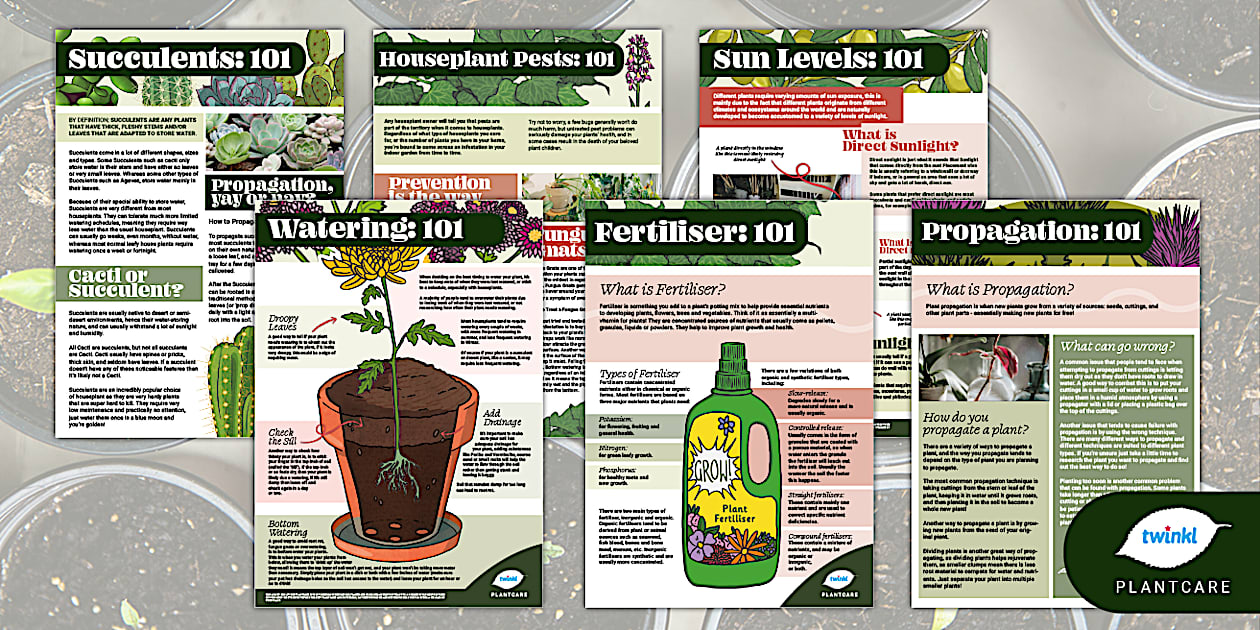 The Basics of Plant Care Pack - Plantcare for beginners