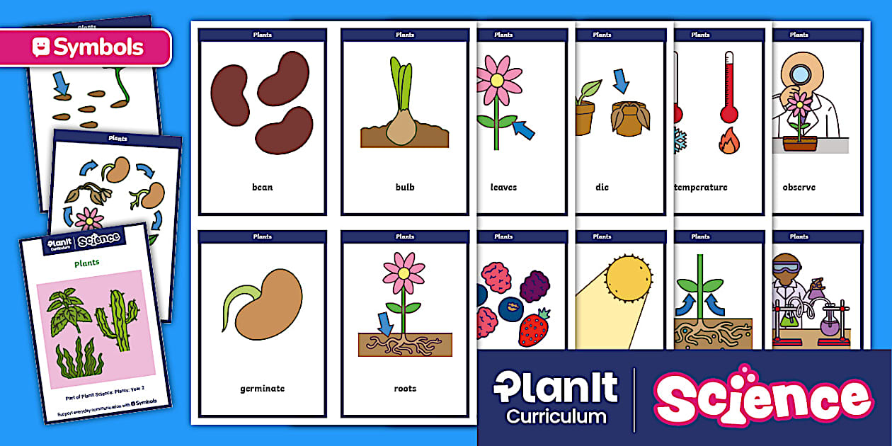 Twinkl Symbols: PlanIt Science: Plants: Year 2: Flashcards