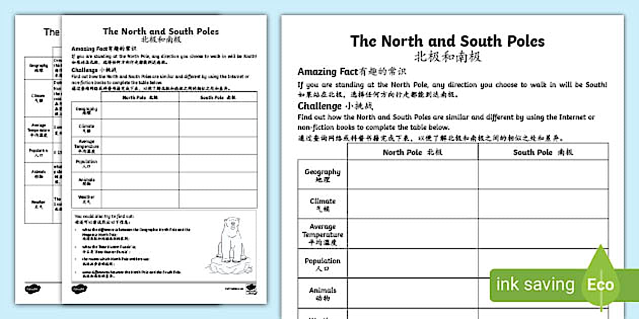 The North and South Poles Worksheet - English/Mandarin Chinese