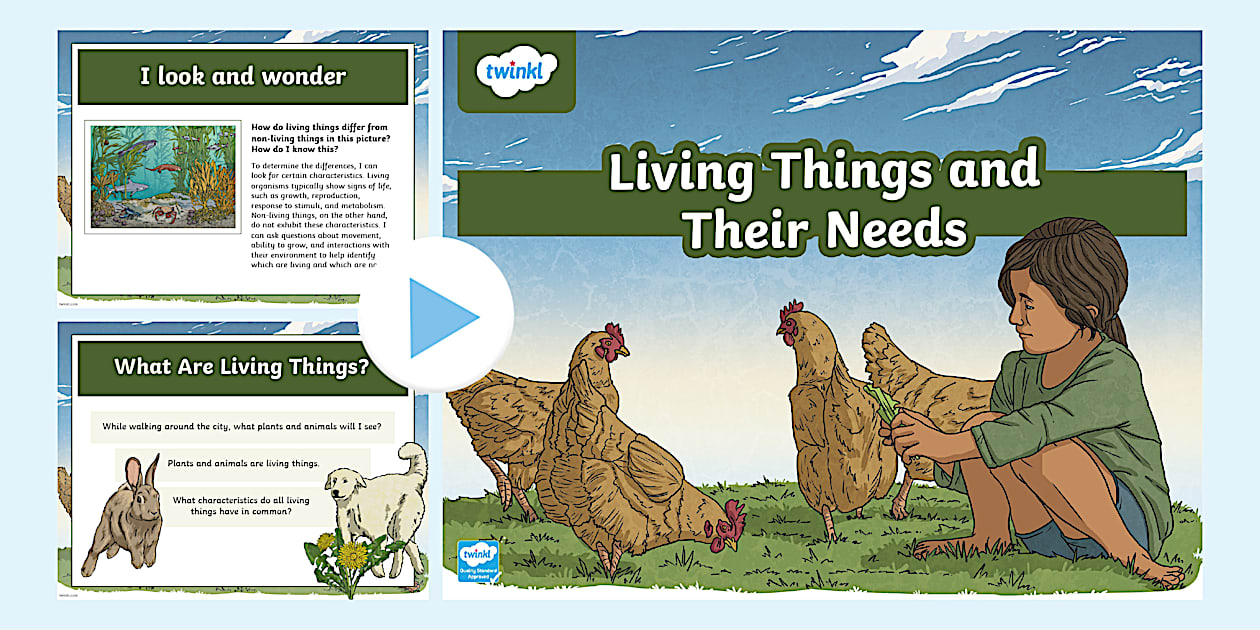 PowerPoint: Living Things and Their Needs - Twinkl