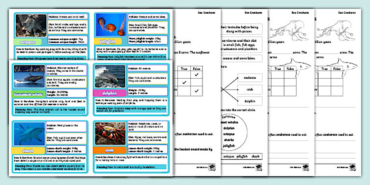 Sea Animals Activity Pack | Resources (teacher made)