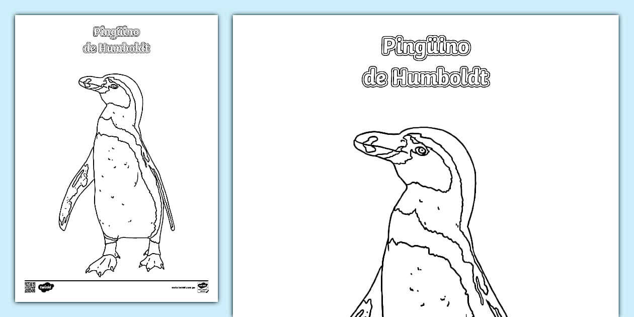 Hoja de colorear. Pingüino de Humboldt - Twinkl Hoja de colorear. Pingüino de Humboldt - Twinkl