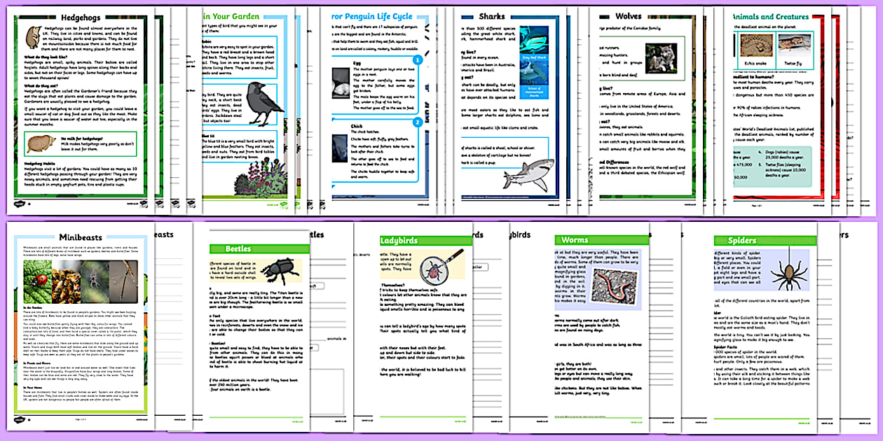 Creatures and Animals Reading Comprehension Pack - Printable