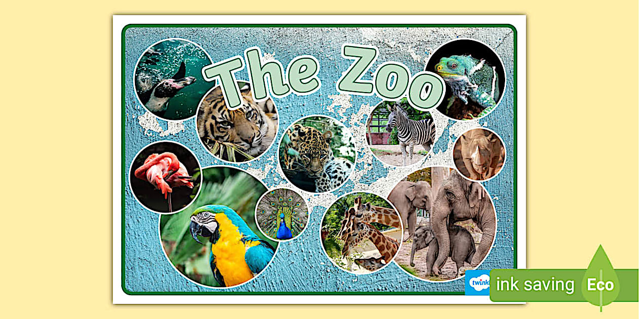 The Zoo Photo Display Poster (teacher made) - Twinkl