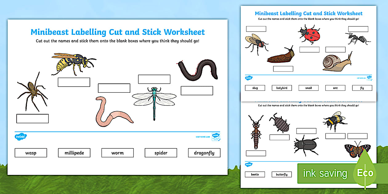 Editable Minibeasts Scene Labelling Cut and Stick Worksheet
