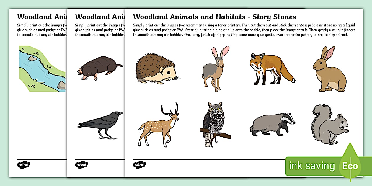 Woodland Animals and Habitats Story Stone Image Cut-Outs