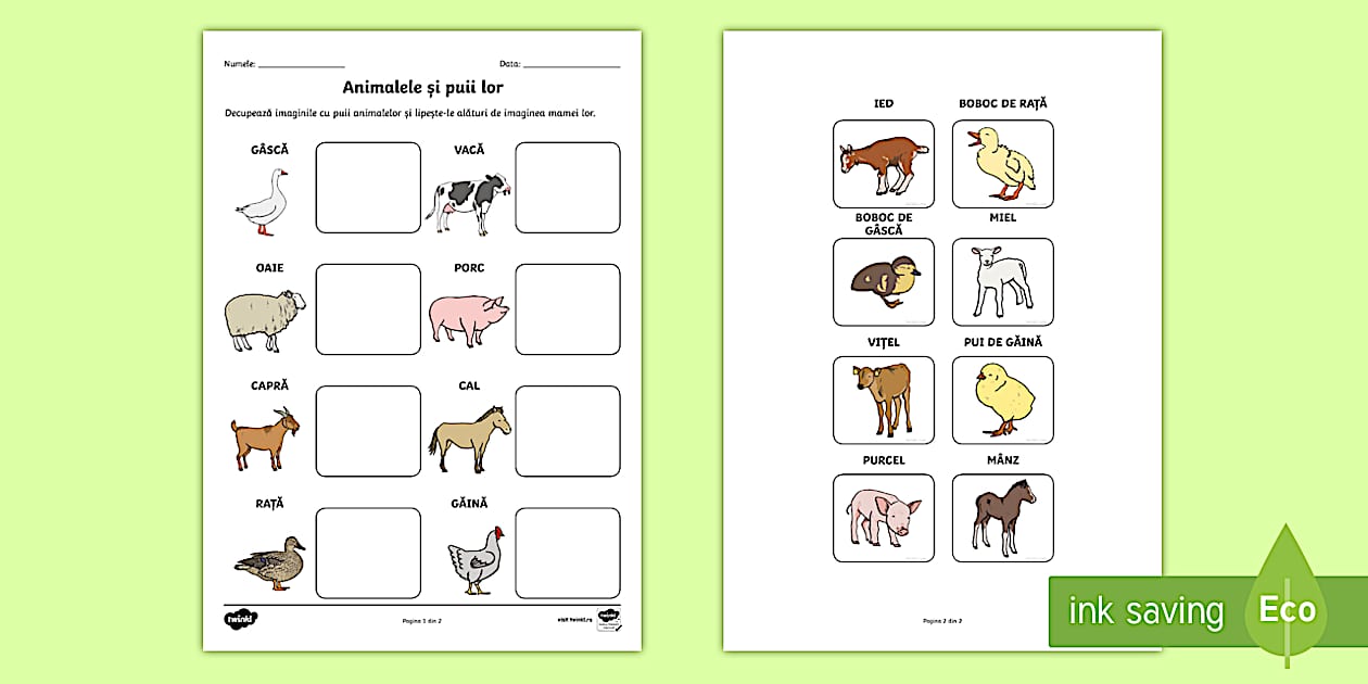 Animalele domestice și puii lor Activitate - Twinkl