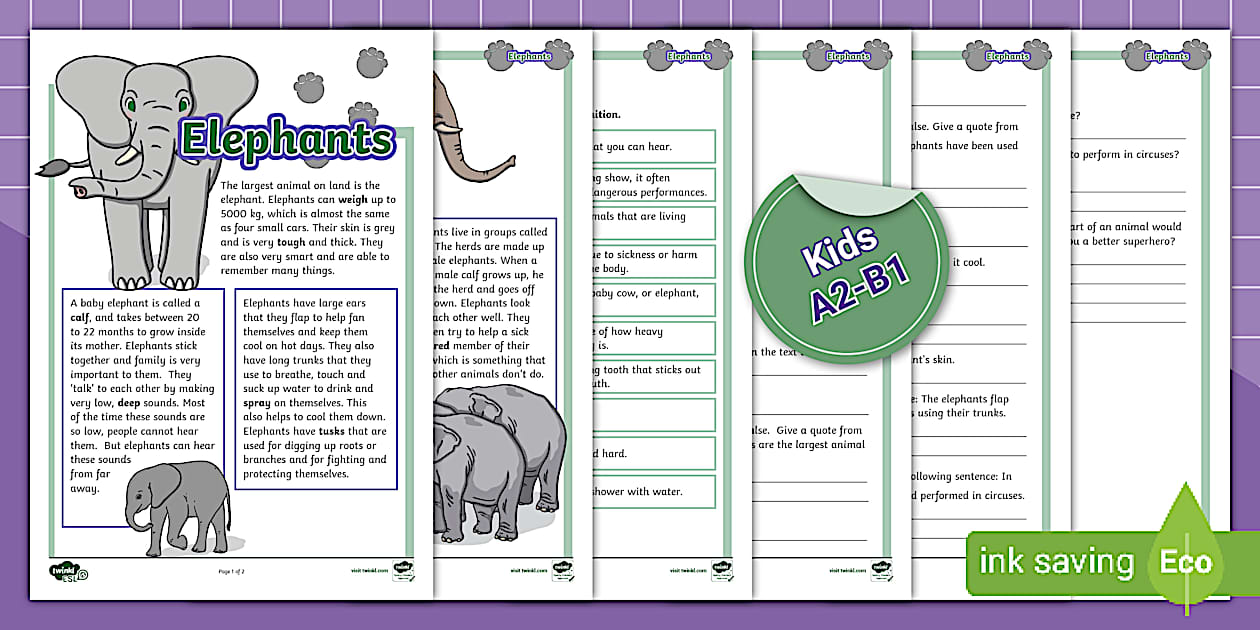 ESL Reading Comprehension: Elephants [Kids A2-B1] - Twinkl