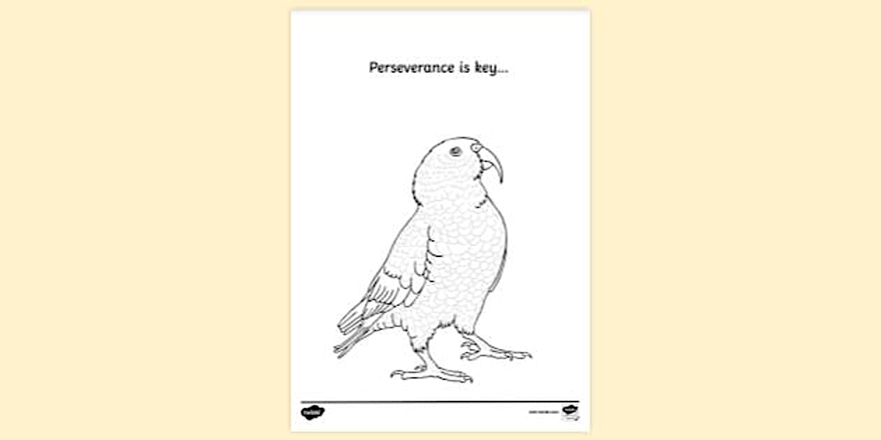 Persevering Parrot Colouring Sheet (Hecho por educadores)