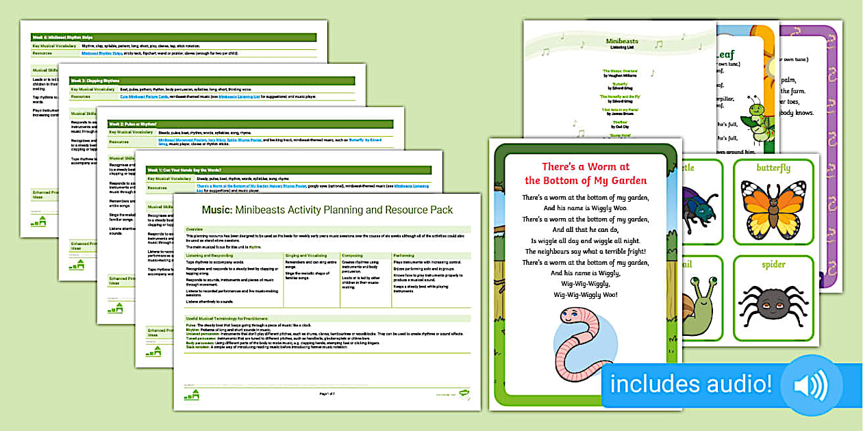 EYFS Minibeasts Music Activity Planning & Resources | Twinkl