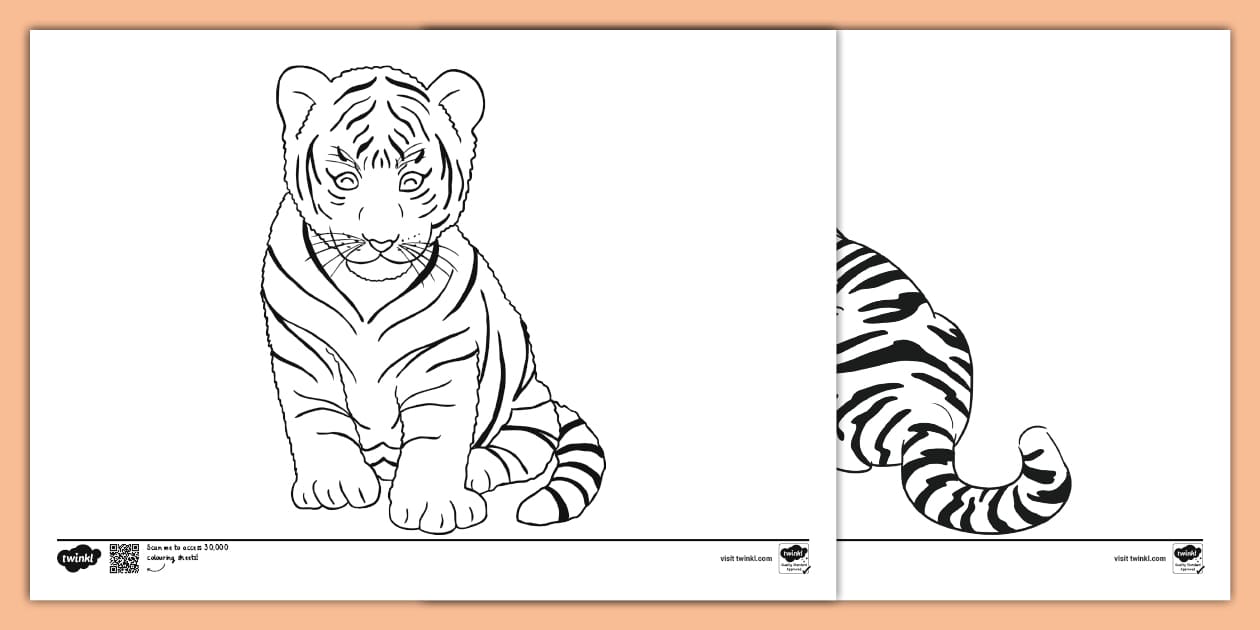 Baby Tiger Colouring Sheets | Primary Resources | Twinkl