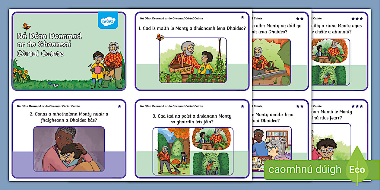 Ná Déan Dearmad ar do Gheansaí Cártaí Cainte - Twinkl