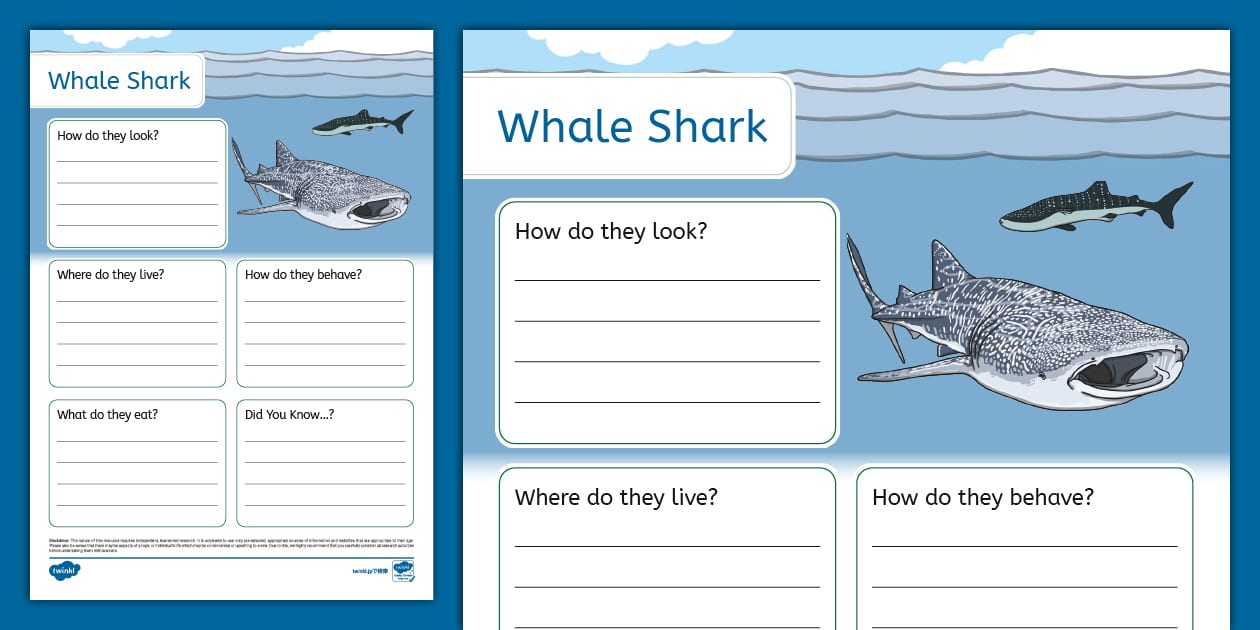 Whale Shark Fact File Template (Teacher-Made) - Twinkl