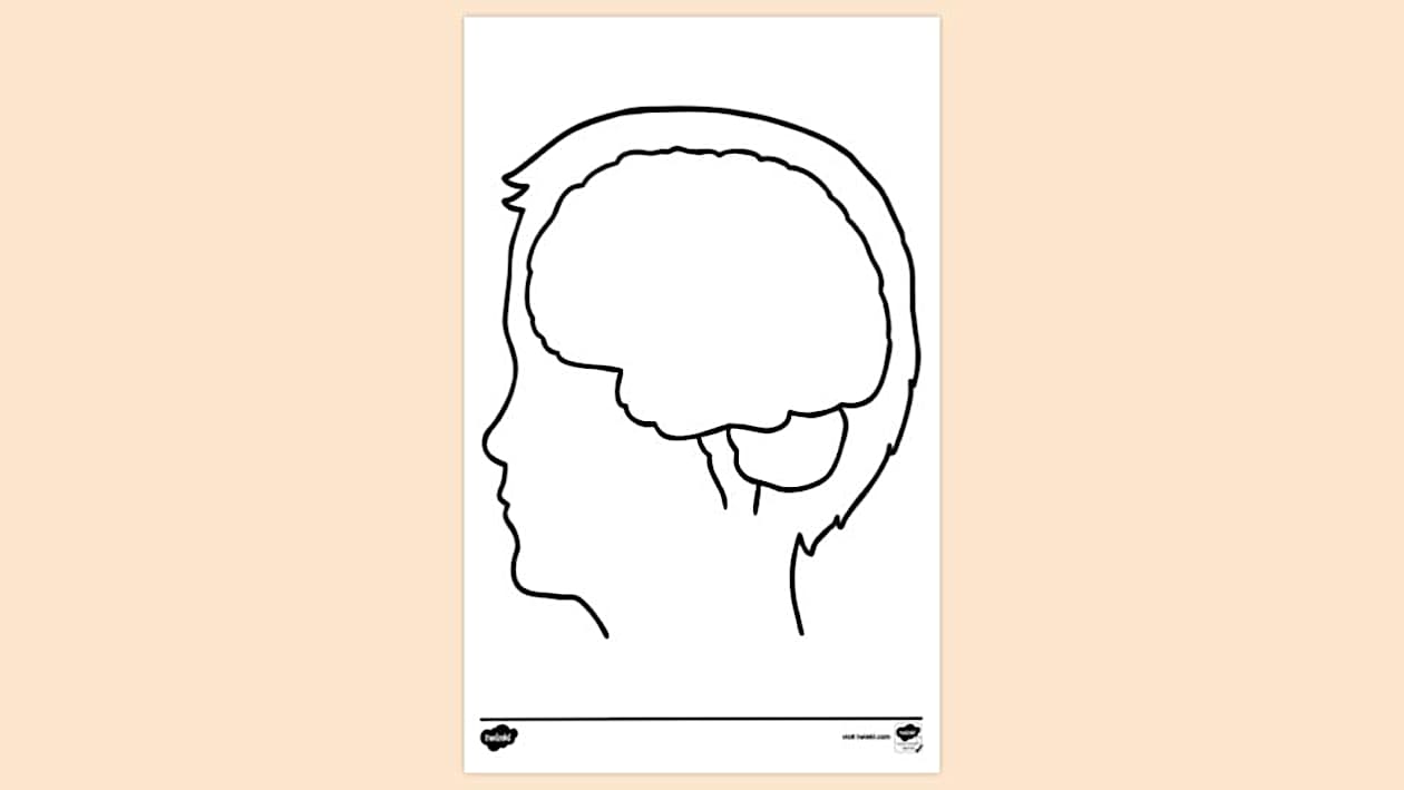 Head and Brain Silhouette Colouring Sheet | Colouring Sheets