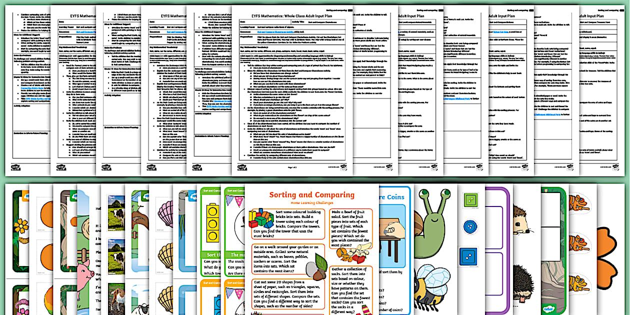 Eyfs Maths Sort And Compare Collections Of Objects Planning