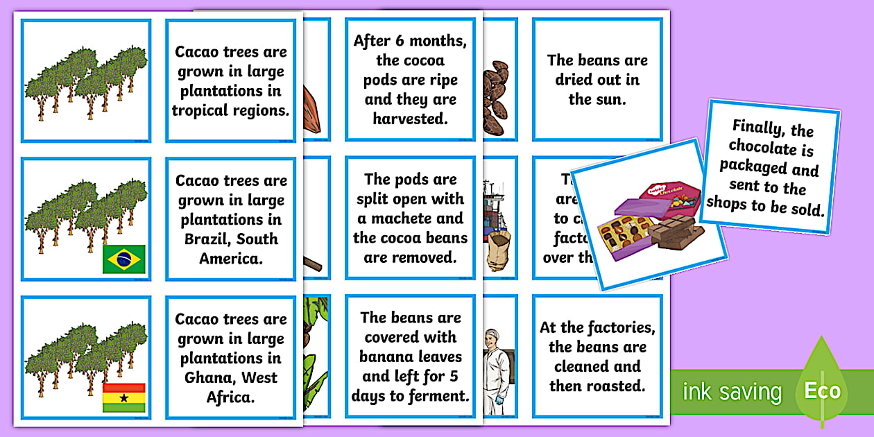 Where Chocolate Comes From Matching Activity (teacher made)