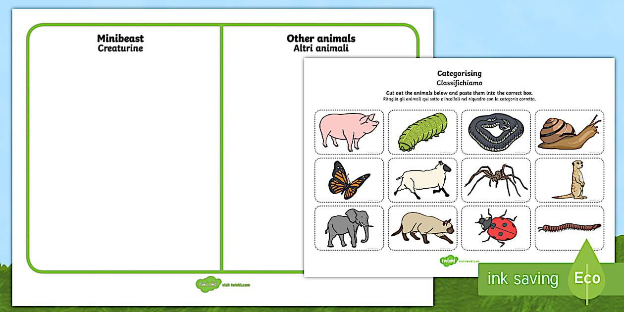 Minibeast and Other Animals Sorting Activity English/Italian