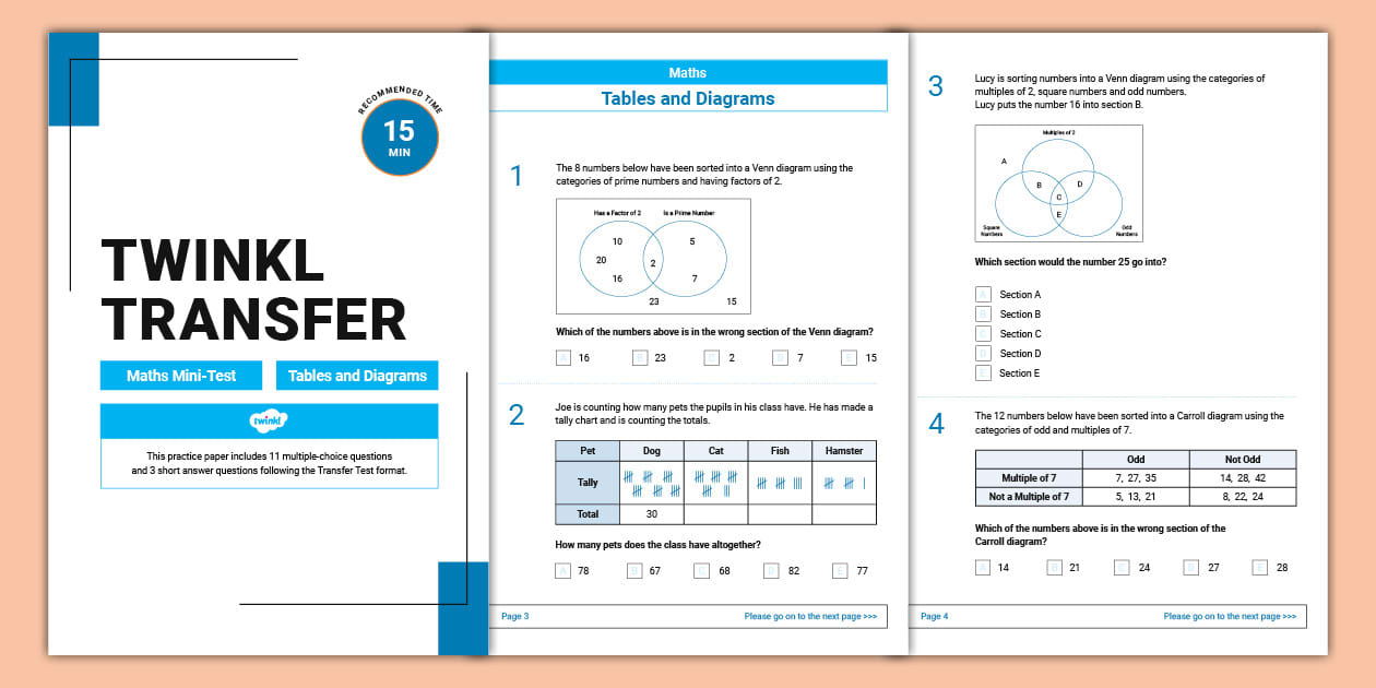 Transfer Mini-Test: Tables and Diagrams - Twinkl