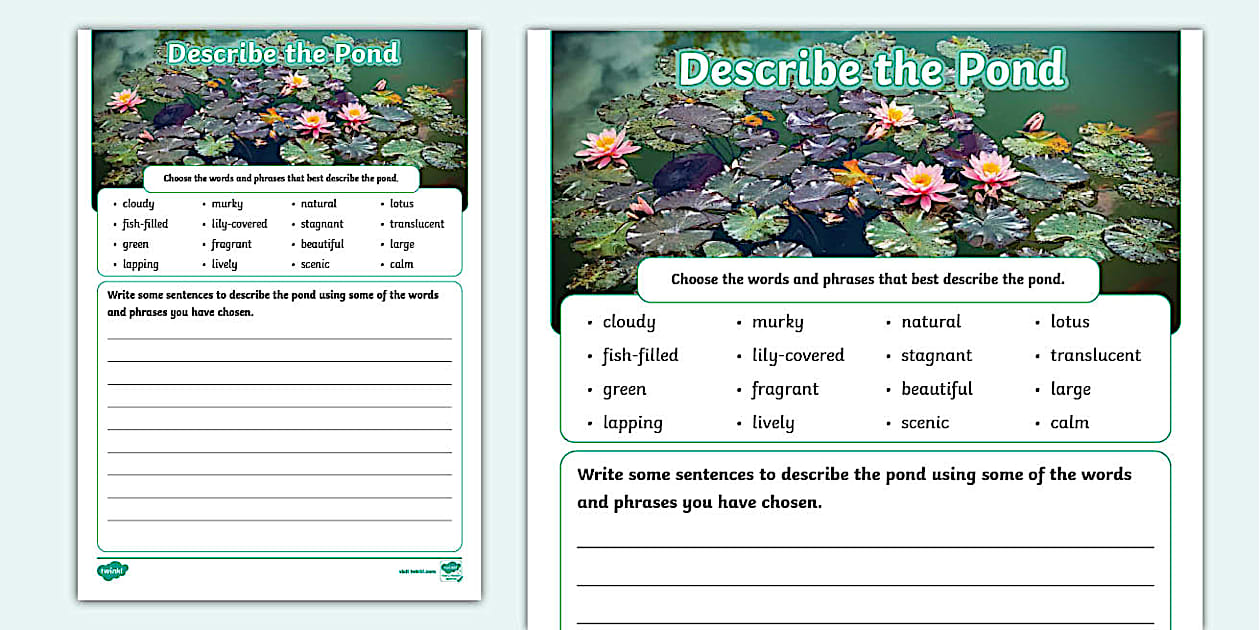 Describe the Pond Worksheet (Teacher-Made) - Twinkl