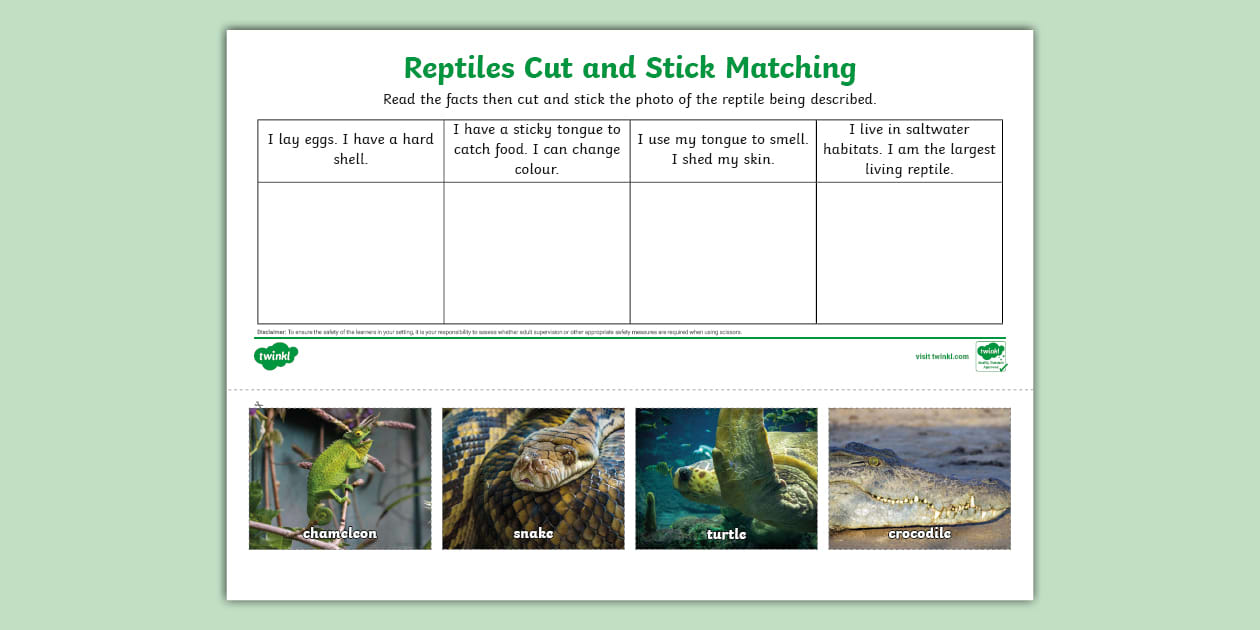 KS1 Reptiles Cut and Stick Matching Activity (Teacher-Made)