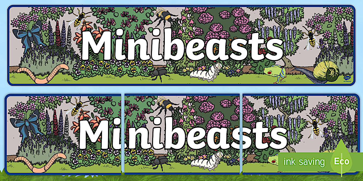 Minibeast Display Banner (teacher made) - Twinkl