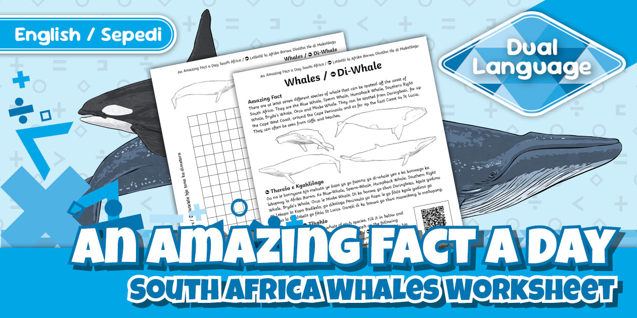 Grade 4 Maths - Term 3 - An Amazing Fact A Day South Africa Whales ...
