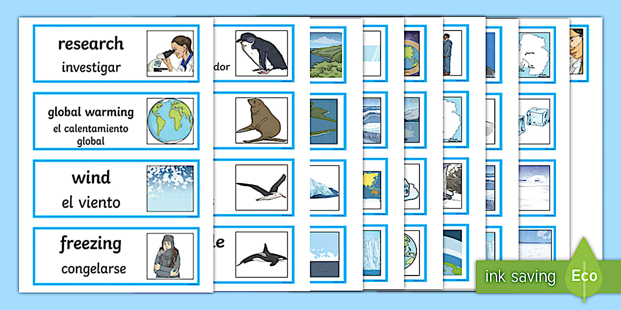 Antarctica Word Cards Word Cards English/Spanish - Twinkl