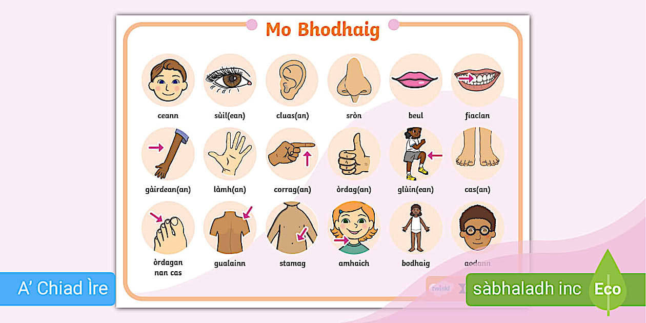 Scottish Gaelic My Body Word Mat (teacher made) - Twinkl