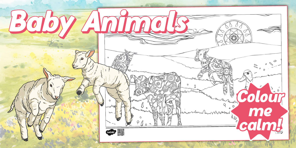 Intermediate Phase - Baby Animals - Mindfulness Colouring