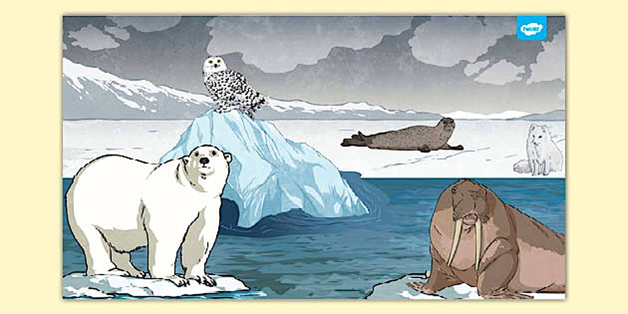 Arctic Virtual Teaching Background (Teacher-Made) - Twinkl