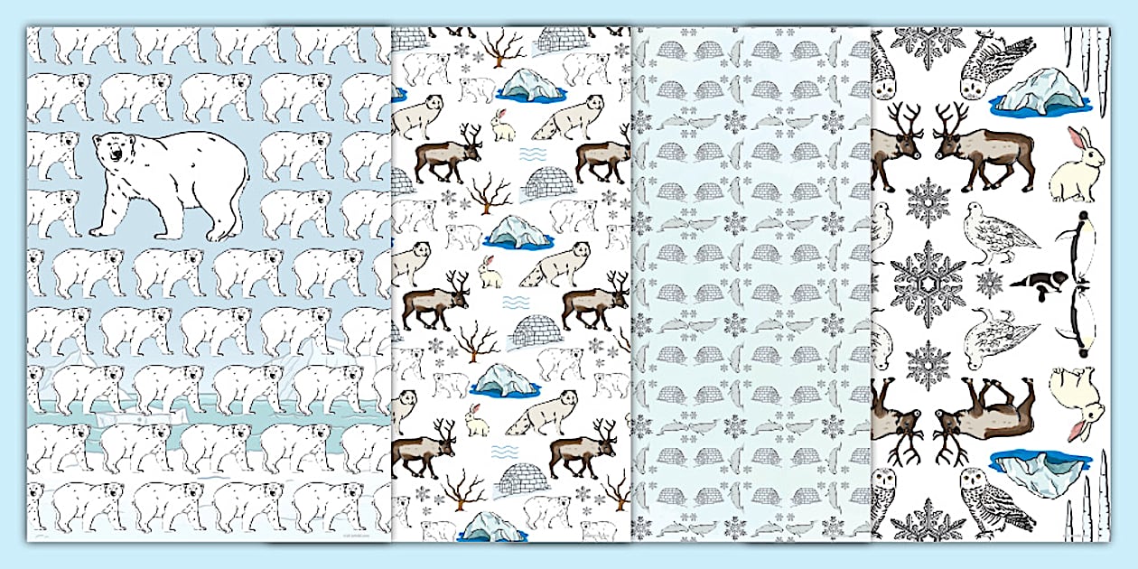 Arctic Animals Patterned Paper - Twinkl Art (teacher made)