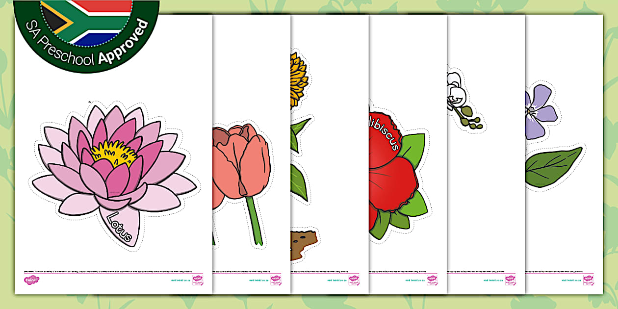Flowers Cut-Outs (teacher made) - Twinkl