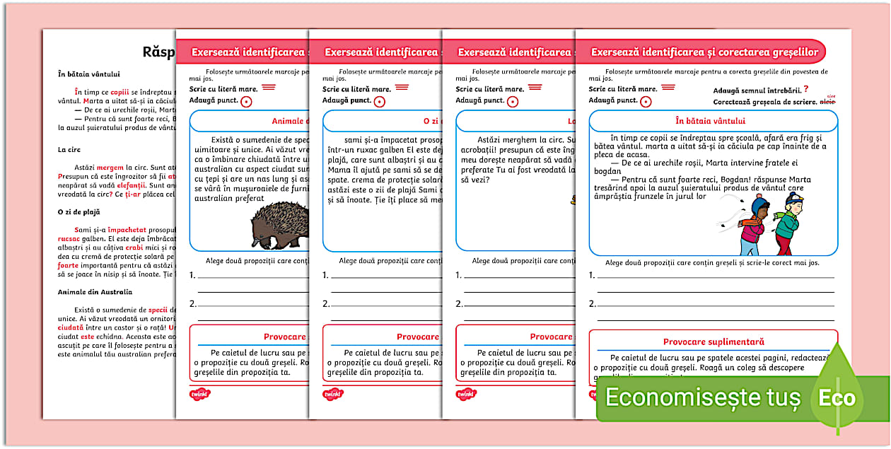 Identificarea și corectarea greșelilor – Fișe de activitate