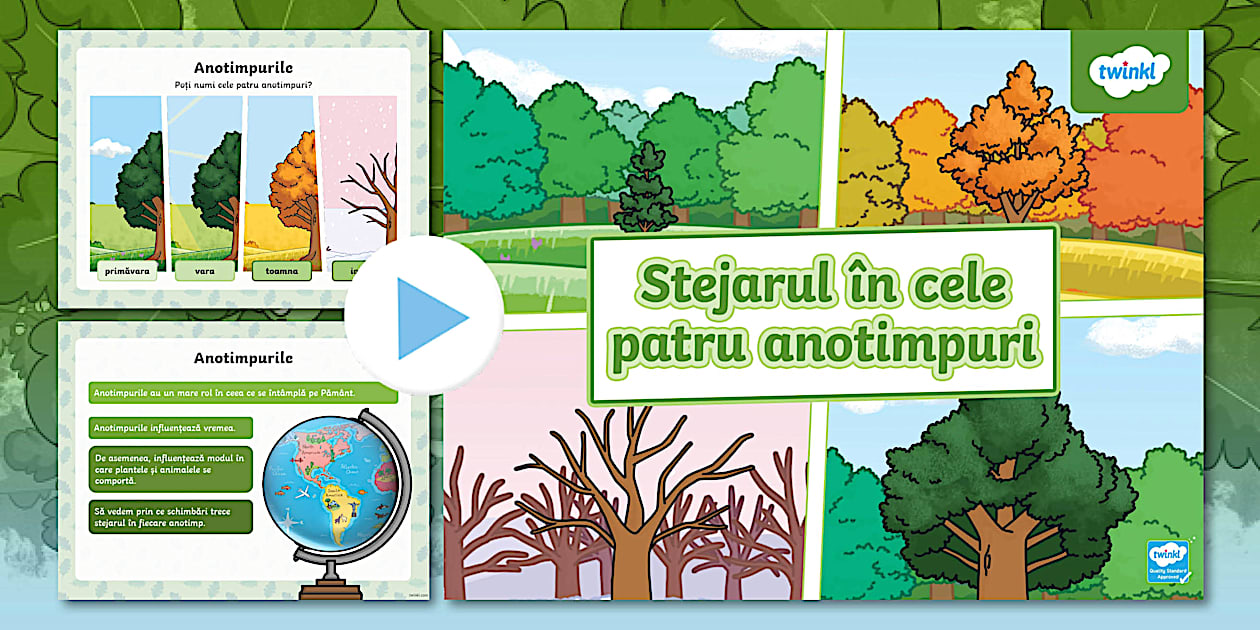 Micuțele ghinde: Stejarul în cele patru anotimpuri